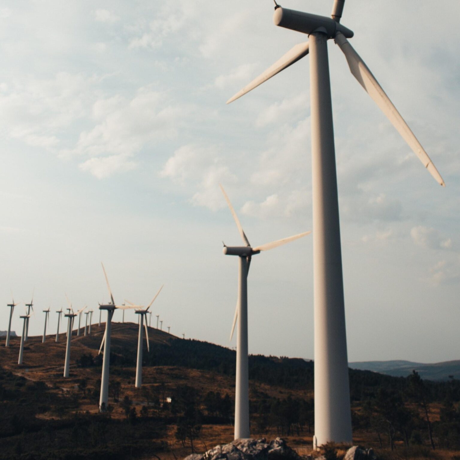 Capitalfield - Your gateway to financial and investment success