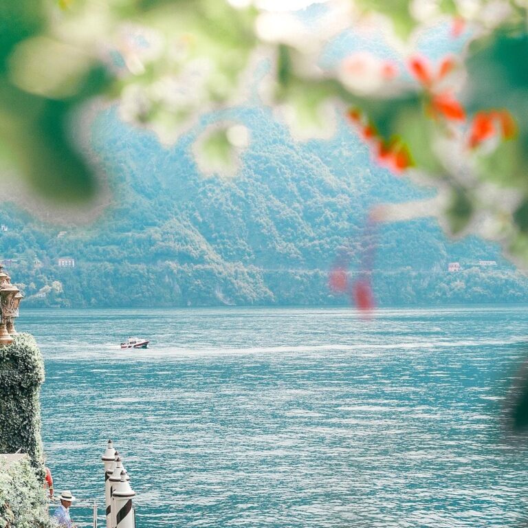 Capitalfield - Your gateway to financial and investment success