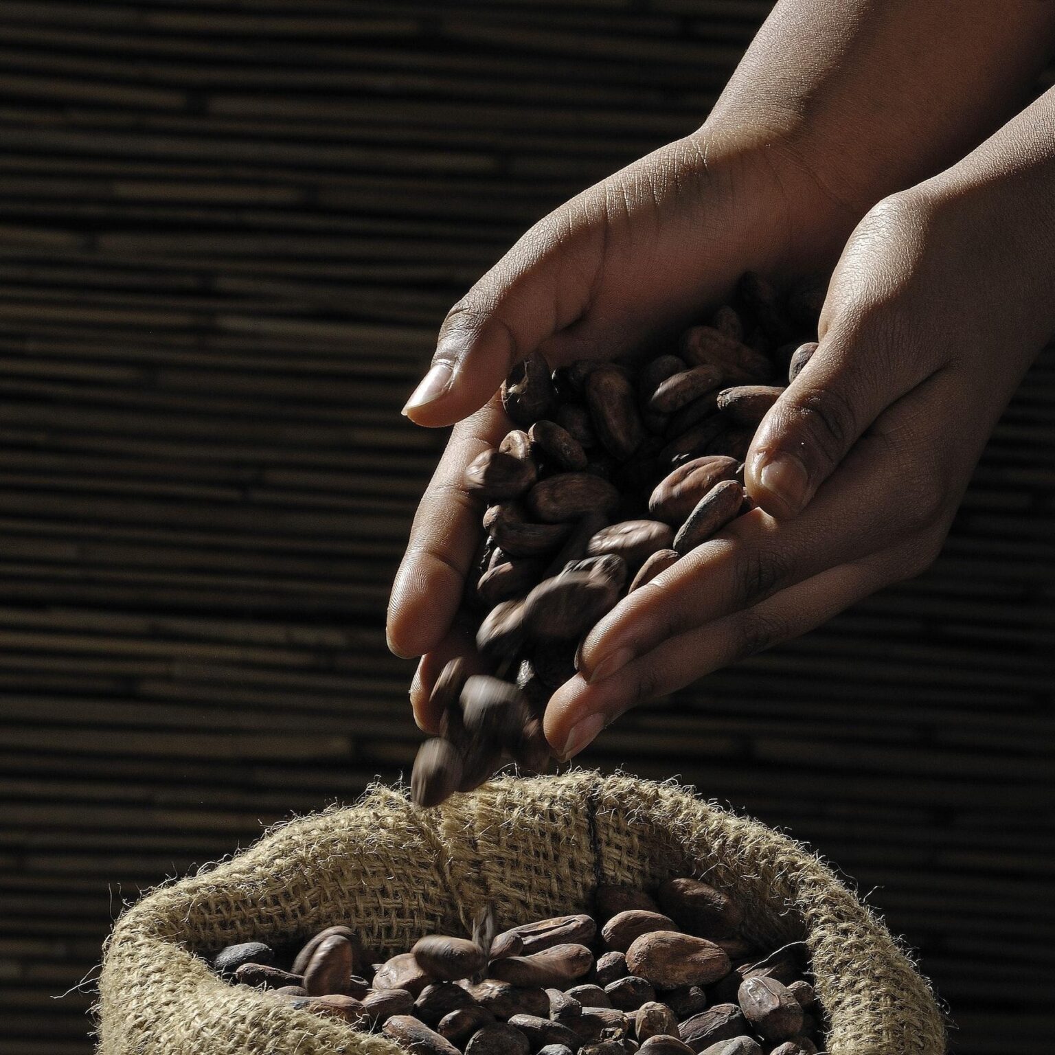 Capitalfield - Your gateway to financial and investment success